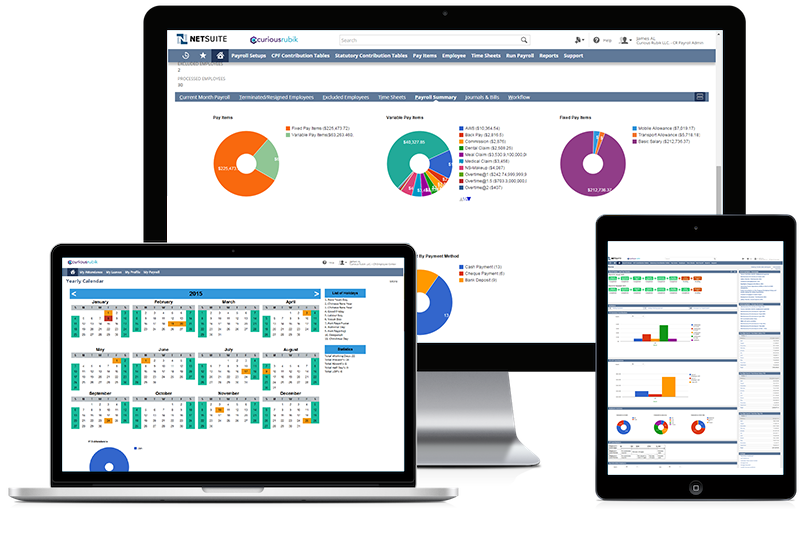 NetSuite Payroll app